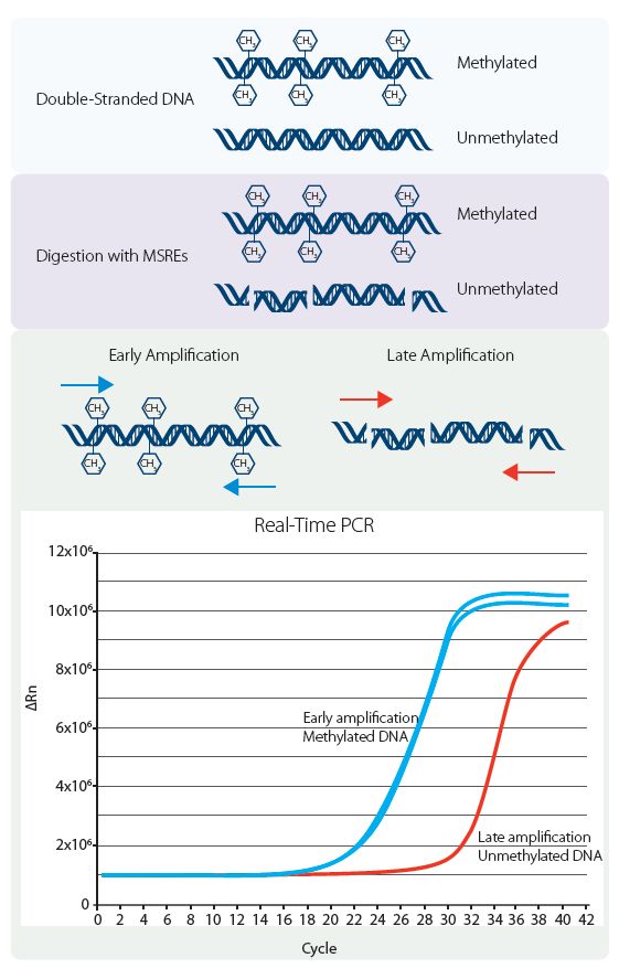 DNA methylation analysis—keeping it simple