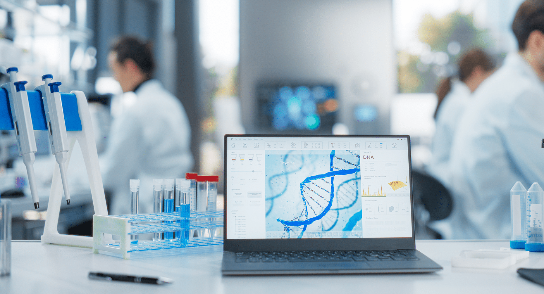 How to design primers and probes for PCR and qPCR | IDT