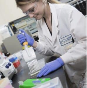 Annealing Oligos Protocol | IDT