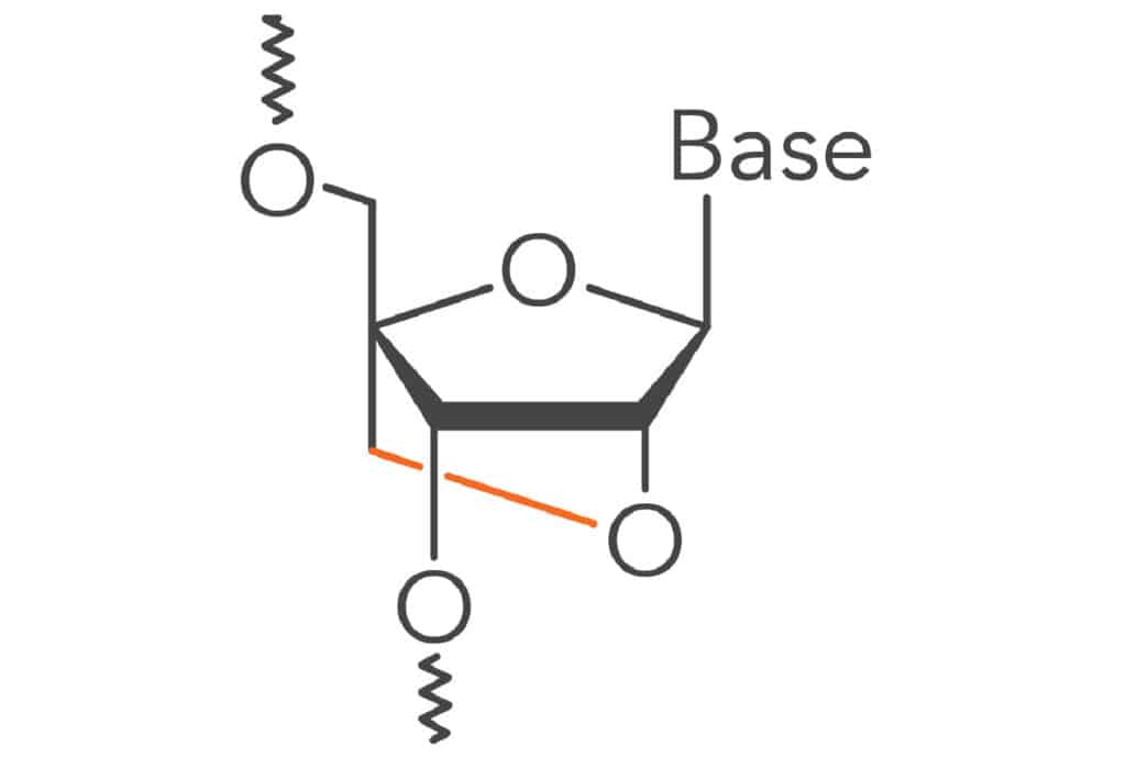 Custom RNA Oligos | IDT