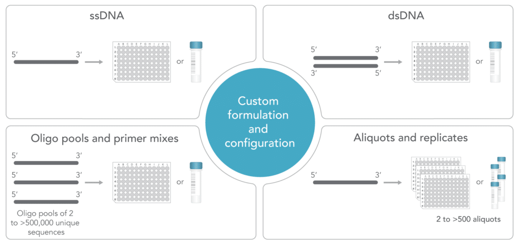 Custom Oligo Synthesis Services | IDT