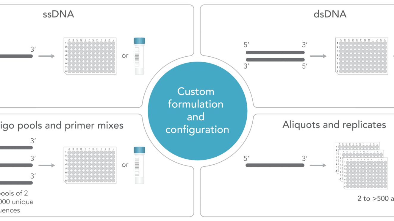 Custom Oligo Synthesis Services | IDT