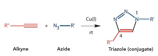 Attach modifications after oligo synthesis using Azide (NHS Ester)