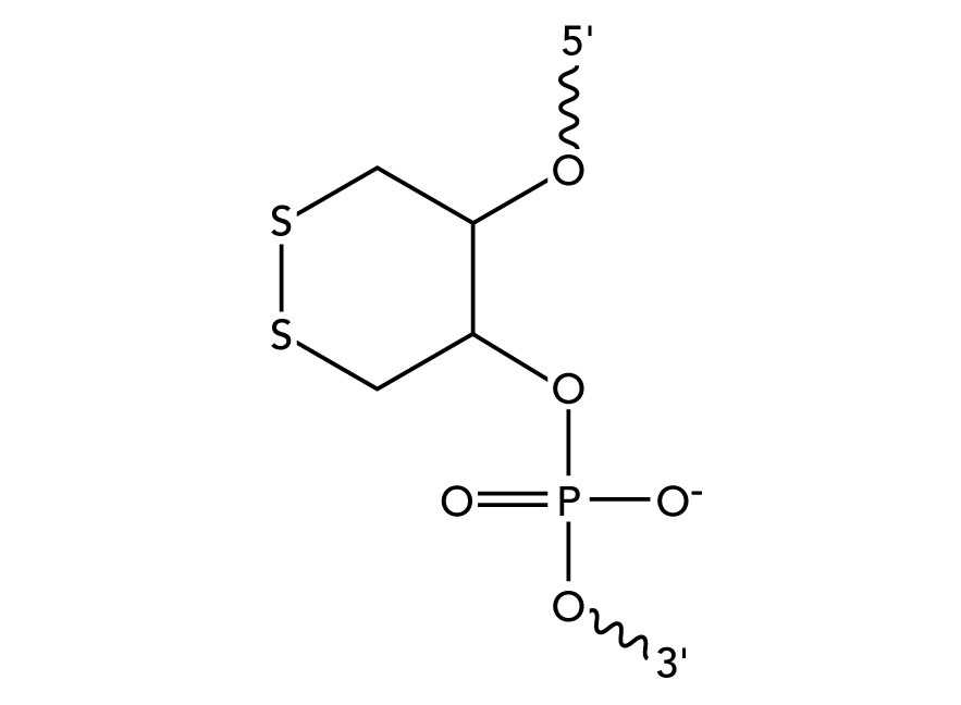 Use thiol modifications to prepare synthetic oligos for attachment ...