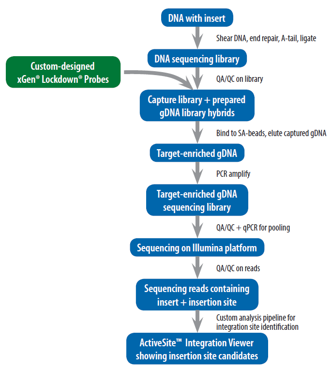 Insertion site detection and targeted RNA capture using NGS