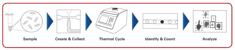 Digital PCR—simplifying quantitative PCR